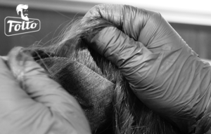 Patch cutanee: hanno controindicazioni?